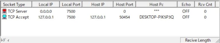 WinSock（TCP通信）をふわっと解説｜初心者向け｜プログ仙人